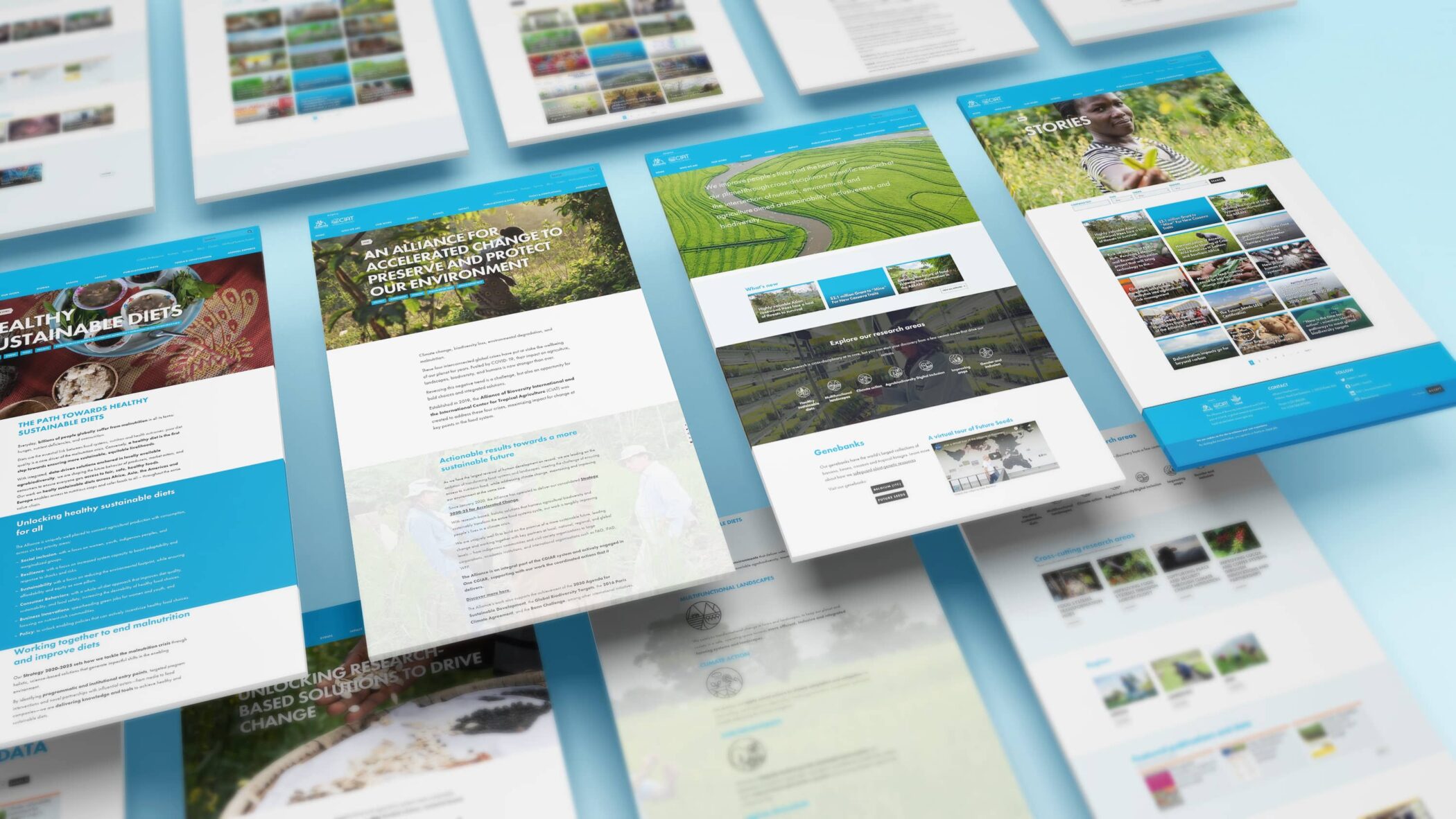 The Alliance Website Development - Cultivate Communications
