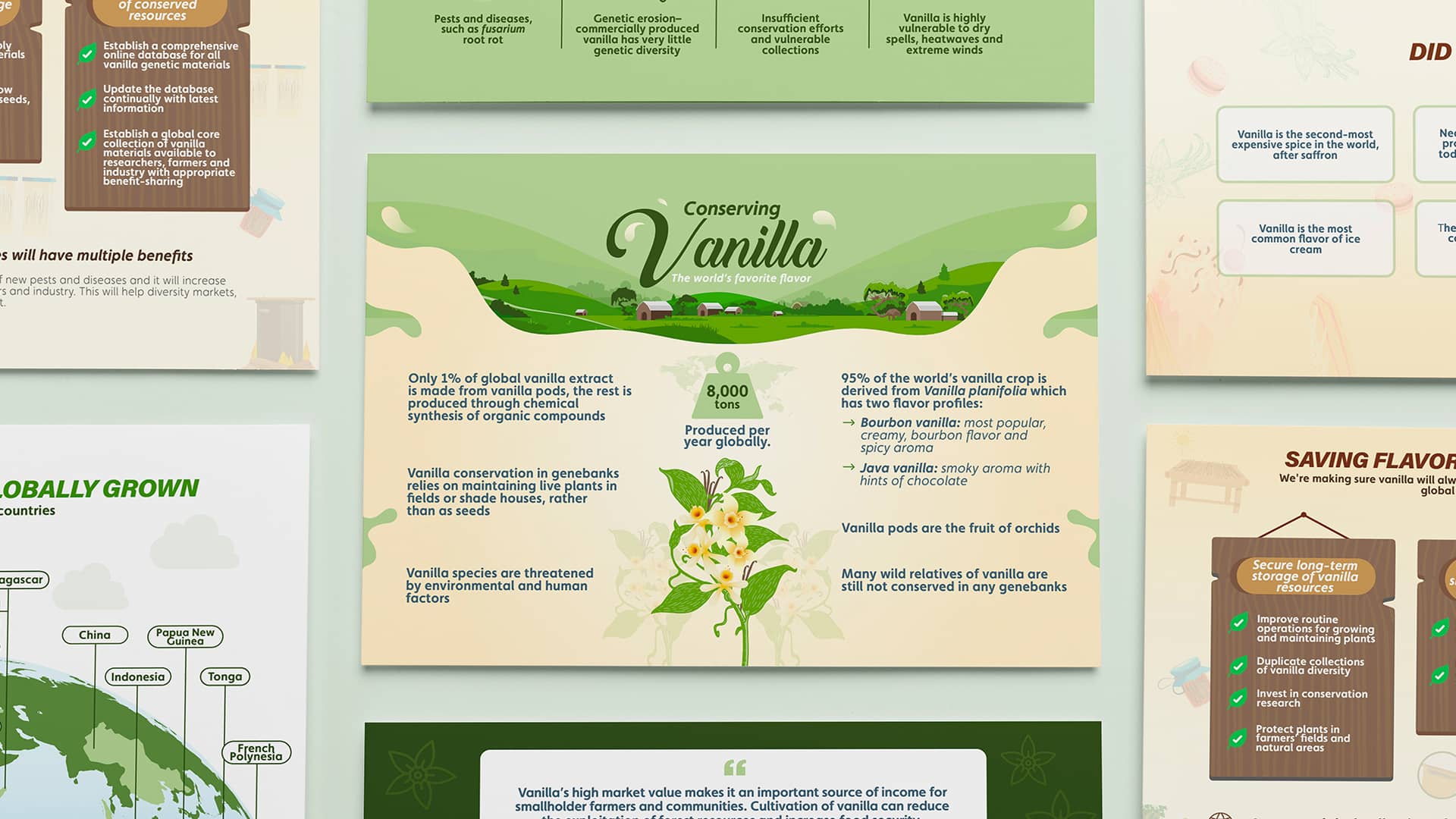 Crop Trust Conserving Vanilla infographic - Cultivate Communication